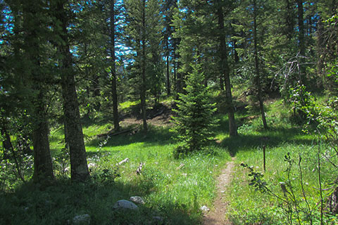 LSR - Phelps Lake Trails - page 2 - Grand Teton National Park