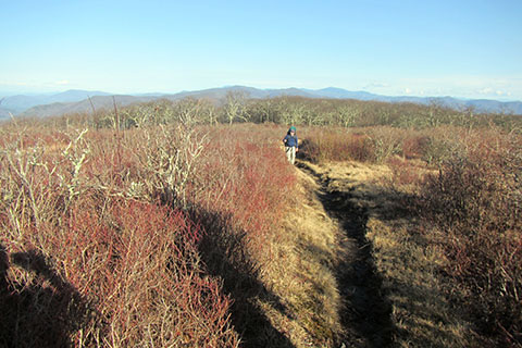 Great Smoky Mountains - Long Hungry Ridge Trail - Gregory Bald