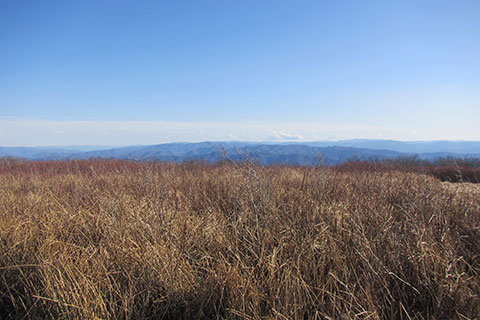 Great Smoky Mountains - Wolf Ridge Trail - Gregory Bald