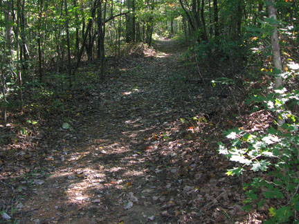 Beaman Park Trails - Ridgetop Trail