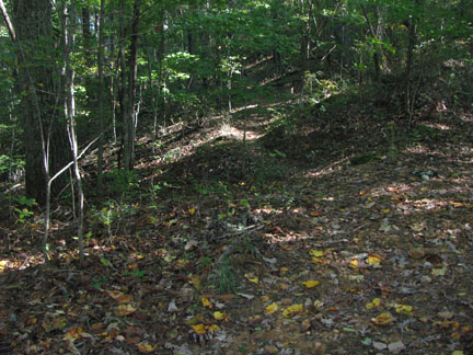 Beaman Park Trails - Ridgetop Trail